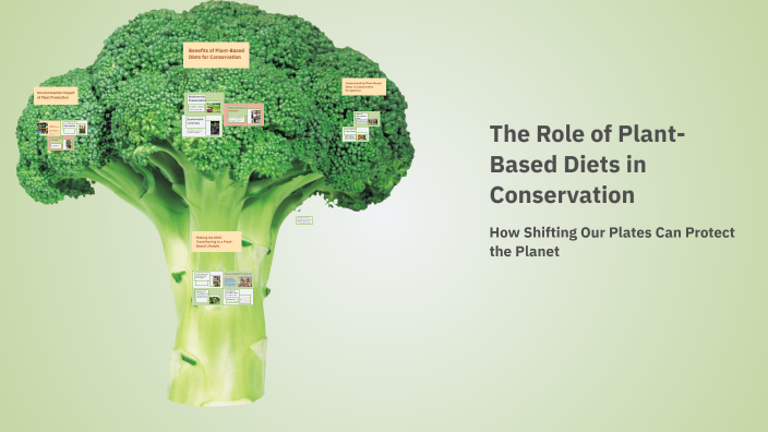 The Role of Plant-Based Diets in Conservation by Kaleb Perez on Prezi