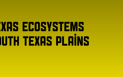Texas Ecosytems South Texas Plains Food Web by Avery Goehmann on Prezi
