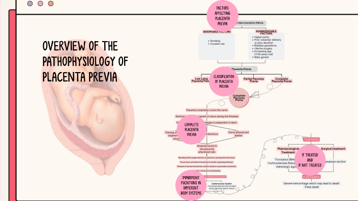 Pathophysiology by Kim Hope on Prezi