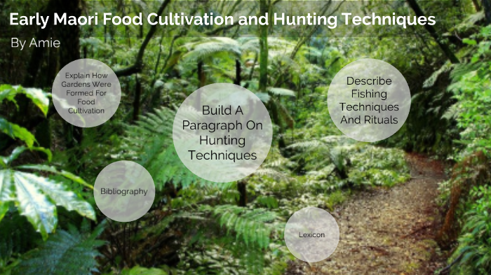 Early Maori Food Cultivation and Hunting Techniques by Amie Chatterton ...