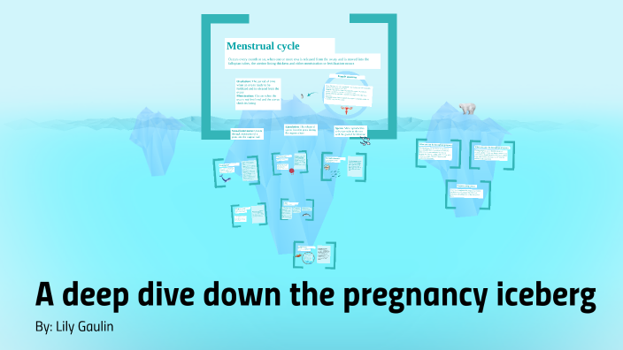 A deep dive down the pregnancy iceberg by Lily Gaulin on Prezi