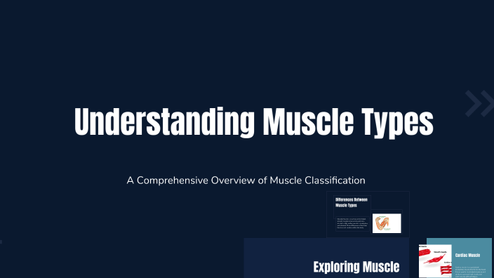 Understanding Muscle Types by Pathan Saif on Prezi