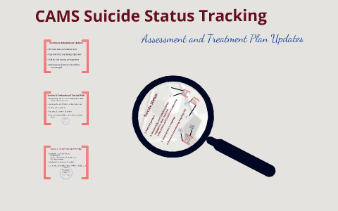 CAMS Suicide Status Tracking: Assessment and Treatment Plan Updates by ...
