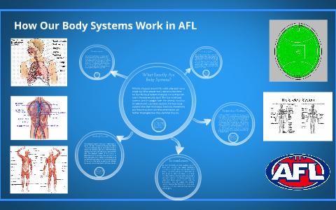How the Body Systems Work in AFL by Michael Loupis on Prezi