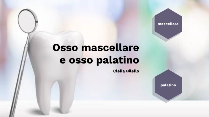 Osso mascellare e osso palatino by Clelia Bilello on Prezi