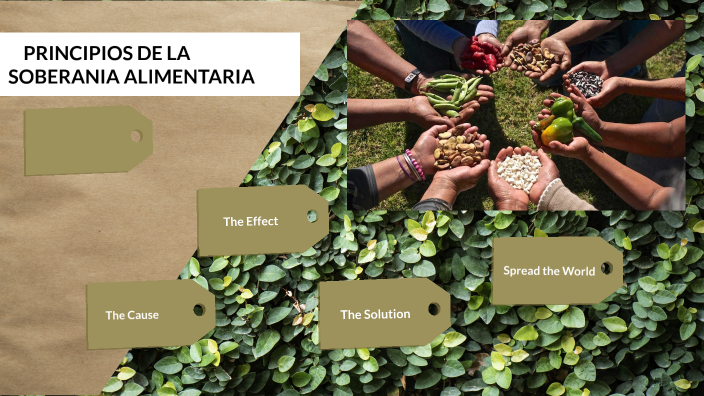 PRICIPIOS DE LA SOBERANIA ALIMENTARIA by alejandra herrera on Prezi