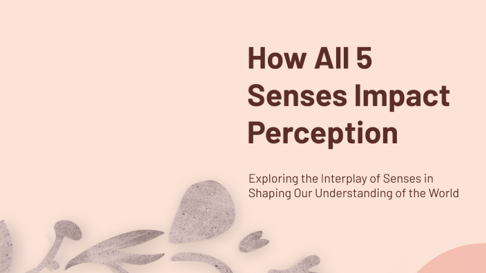 How All 5 Senses Impact Perception by Cassandra Aguirre on Prezi