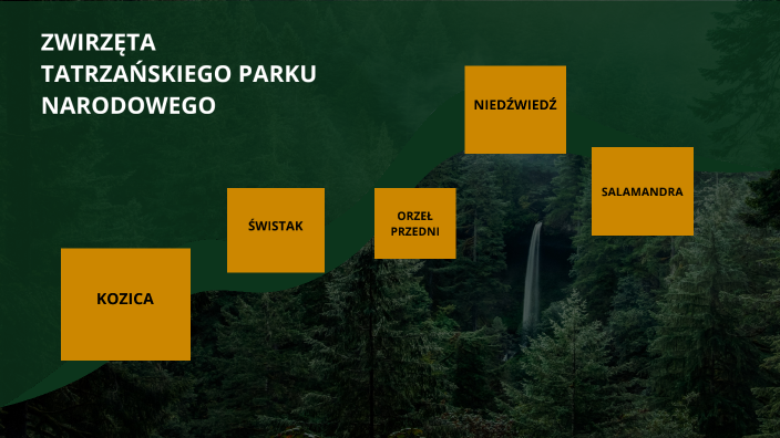 Zwierzęta TPN by Madzia Borkowska on Prezi