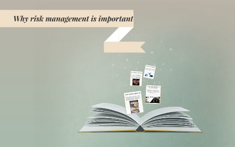 Why risk management is important by Alex Taraiev on Prezi