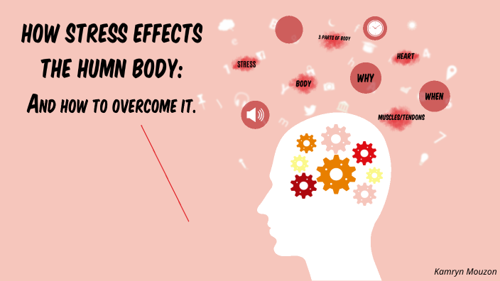 How Stress Effects the Human Body: How to Overcome It by Kamryn Mouzon ...
