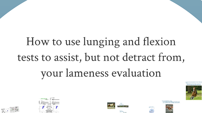 How to use lunging and flexion tests to assist, but not detract from ...