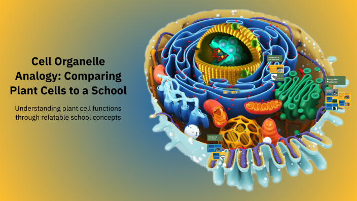 Cell Organelle Analogy: Comparing Plant Cells to a School by Liev Cohen ...