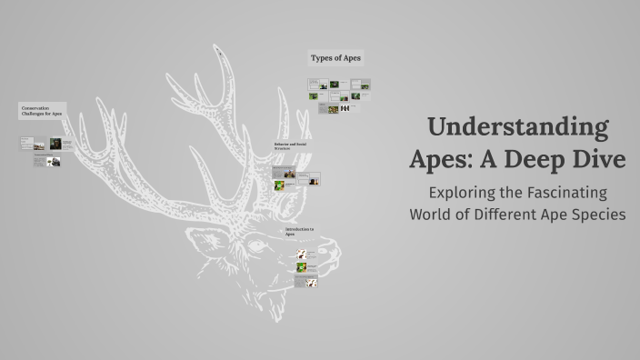 Understanding Apes: A Deep Dive by YİĞİT GÜL on Prezi