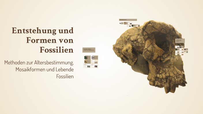 Entstehung und Formen von Fossilien by Emelie Kipczak on Prezi