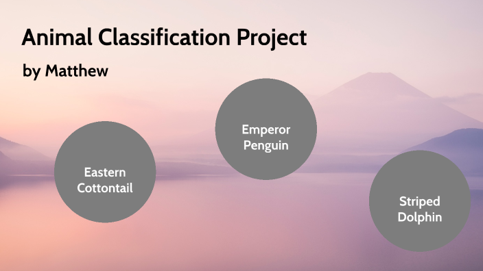 Animal Classification Project by Matthew Christen on Prezi