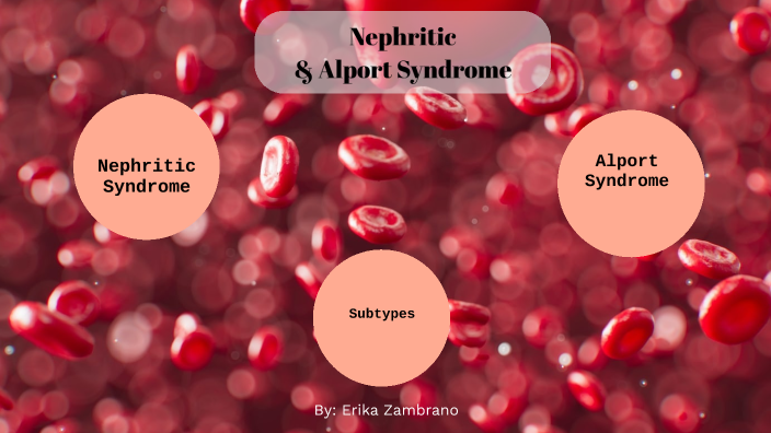 nephritic and alport syndrome by Erika Zambrano on Prezi