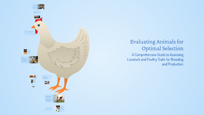 Evaluating Animals for Optimal Selection by Kate Neems on Prezi