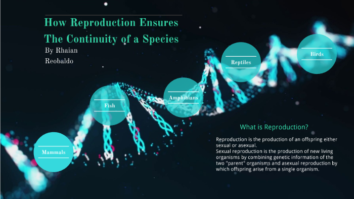 How Does Reproduction Ensure the Continuity of a Species by Rhaian ...