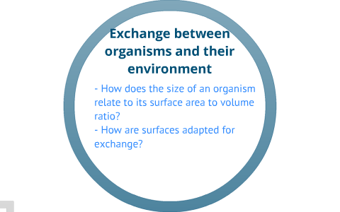 13.1 Exchange between organisms and their environment by Adam Edwards ...