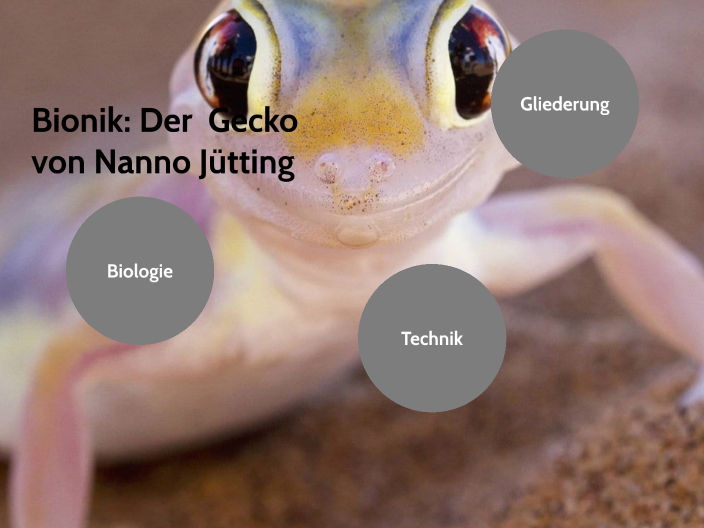 Bionik: Der Gecko by Nanno Jütting on Prezi