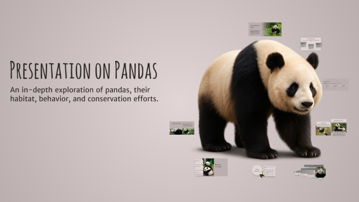 Presentation on Pandas by Eliza Motyl on Prezi
