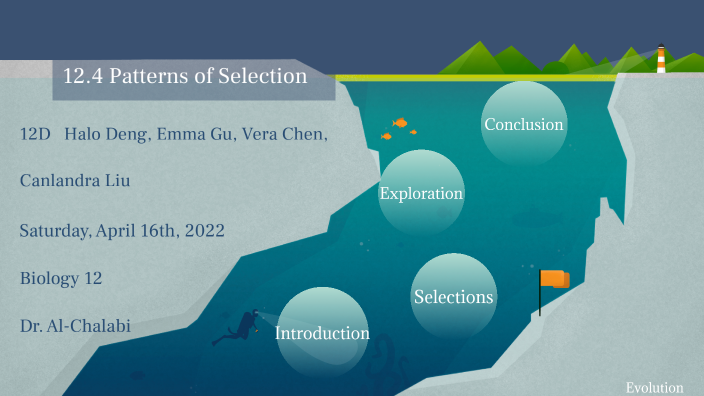 12D Patterns of Selection by Halo Deng on Prezi