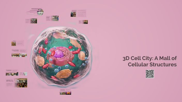 3D Cell City: A Mall of Cellular Structures by Addie Bishop on Prezi