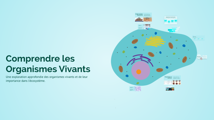 Comprendre les Organismes Vivants by Rim Rim on Prezi