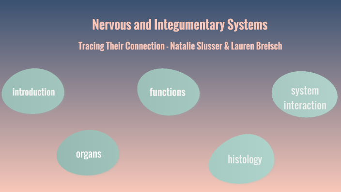 Nervous & Integ Systems by Natalie Slusser on Prezi