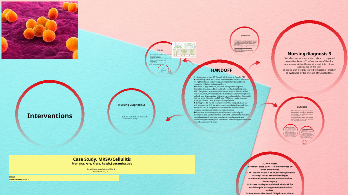 Clinical decision making. Case Study MRSA by Mariana Arana on Prezi