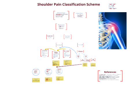 Shoulder Pain Classification Scheme by Lisa Boester