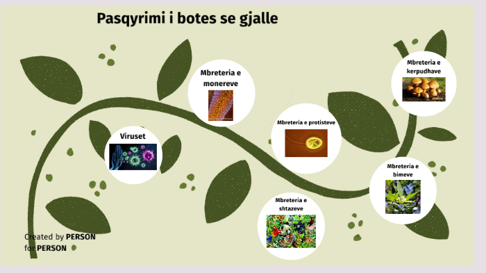 Pasqyrimi i botes se gjalle by shpresa ramanii on Prezi
