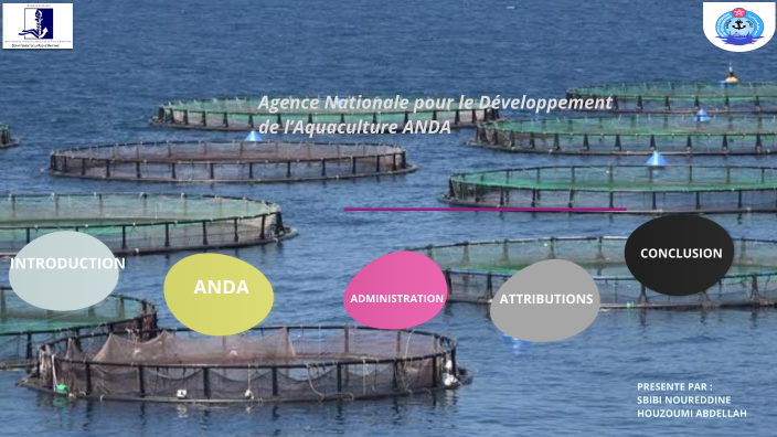 ANDA PRESENTATION by noureddine sbibi on Prezi