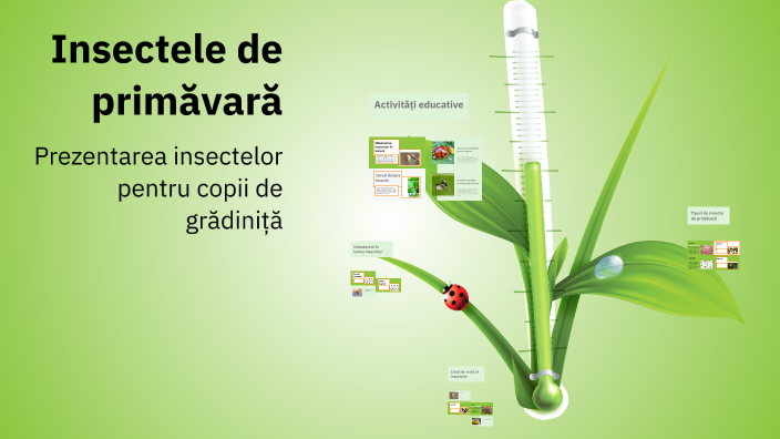 Insectele de primăvară by maria ivanschi on Prezi