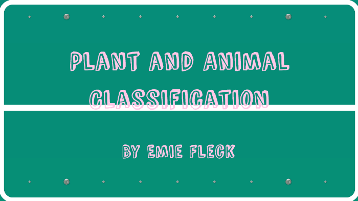 Plant and Animal Classification by Emie Fleck on Prezi