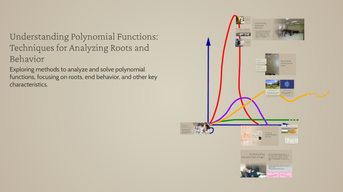 Understanding Polynomial Functions: Techniques for Analyzing Roots and ...