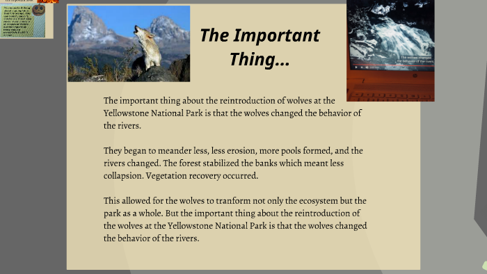 How Wolves Change Rivers by on Prezi