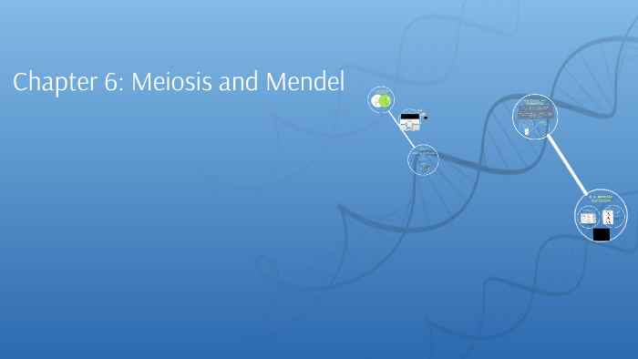 Chapter 6: Meiosis and Mendel by Samantha Figg