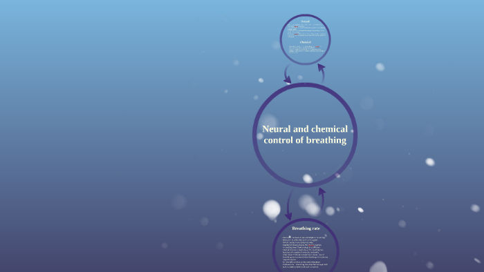 Control of breathing (neural and chemical) by Jordan Spencer on Prezi