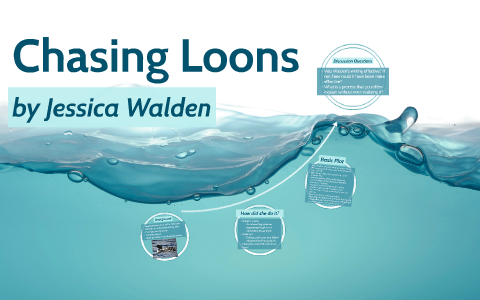 Chasing Loons by Joseph Mattiello on Prezi