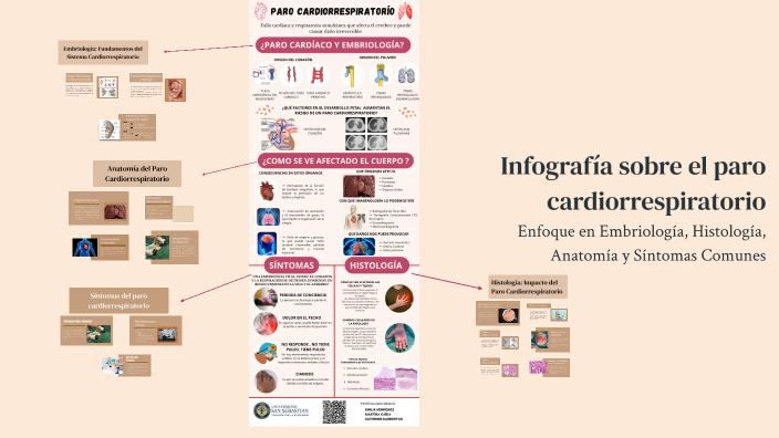 Infografía sobre el paro cardiorrespiratorio by KATHERINE BARRIENTOS ...
