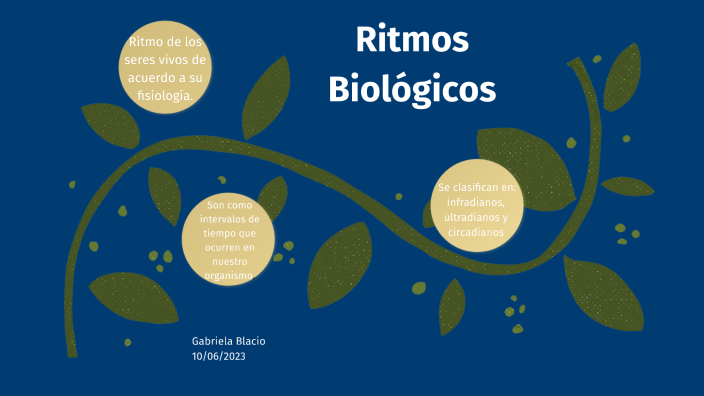 Ritmos Biológicos by gaby blacio on Prezi