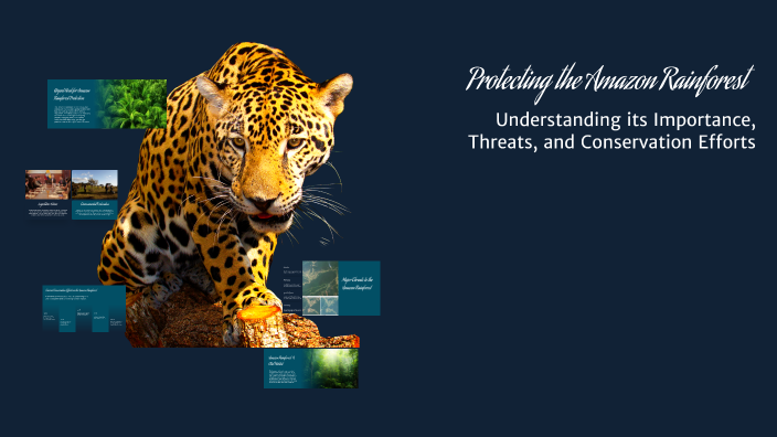 Protecting the Amazon Rainforest by johnny BUSTAMANTE on Prezi