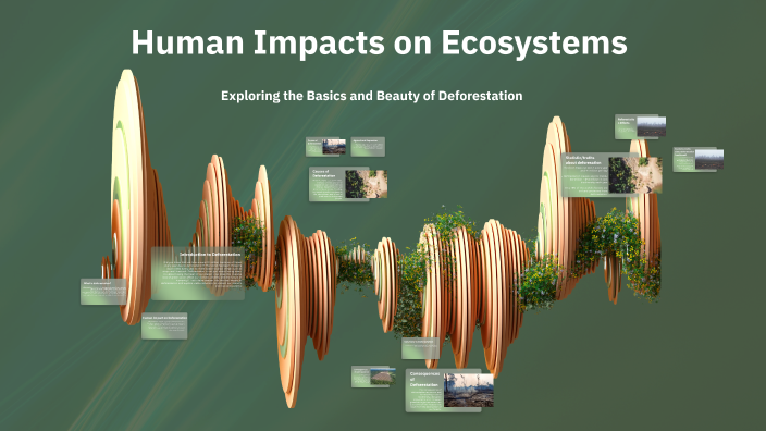 Human Impacts on Ecosystems by zoe