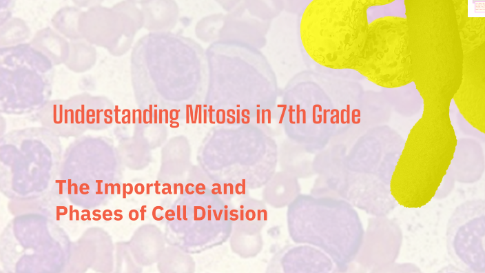 Understanding Mitosis in 7th Grade by Serhat Bildik on Prezi