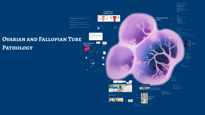 Understanding Ovarian and Fallopian Tube Pathology by MOHAMED WAHBI on ...
