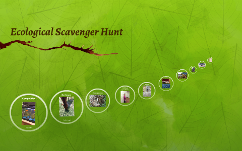 Ecological Scavenger Hunt by Frances Gatlin on Prezi