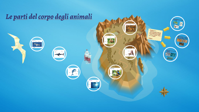 Le parti del corpo degli animali by rodolfo maestri on Prezi