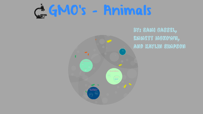 GMO's - Animals by kaylin simpson on Prezi