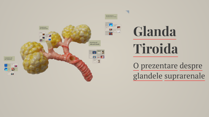 Glanda Tiroida by Rares Babei on Prezi